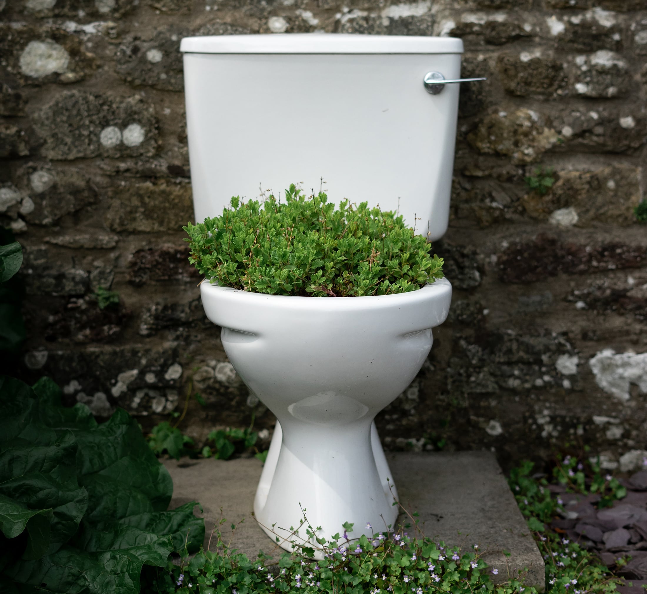 10 things you should never flush down your toilet - Poole's Plumbing, Inc. 10 things you should never flush down your toilet - Poole's Plumbing, Inc.